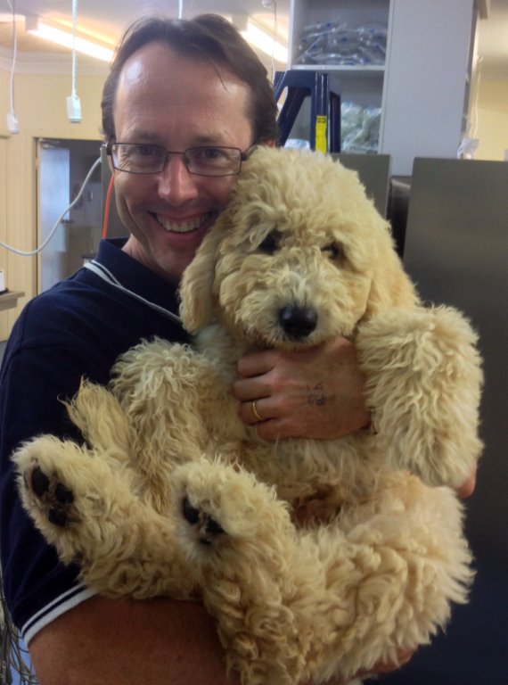 Home [www.newcastleveterinaryultrasound.com.au]